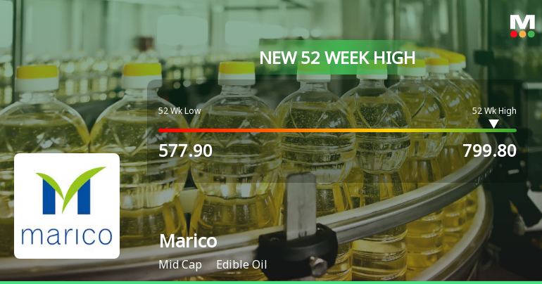 Marico Ltd. Hits New 52-Week High at Rs.799.8 Mark