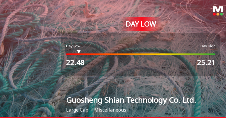 Guosheng Shian Technology Hits Day Low of CNY 22.48 Amid ...