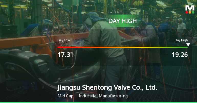 Jiangsu Shentong Valve Hits Day High with 9.99% Surge in ...