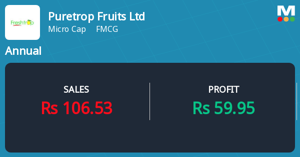 Puretrop Fruits Ltd Annual Results: Standalone & Consolidated Reports ...