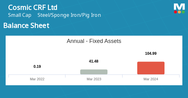 Cosmic CRF Ltd Balance Sheet: Consolidated Financial Analysis ...