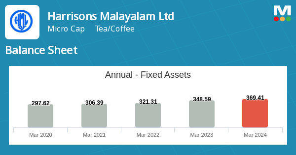 Harrisons Malayalam Ltd Balance Sheet: Consolidated Financial Analysis ...