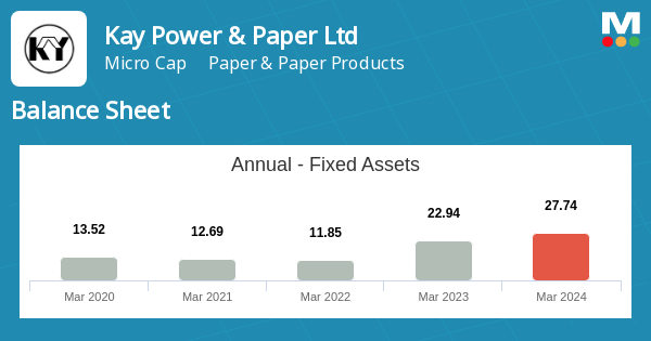 Kay Power & Paper Ltd Balance Sheet: Consolidated Financial Analysis ...