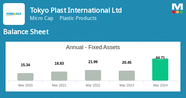 Tokyo Plast International Ltd Balance Sheet: Consolidated Financial ...