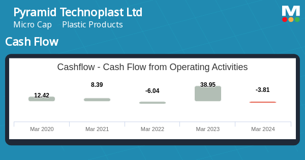 Pyramid Technoplast Ltd Cash Flow Statement: Consolidated Financial ...