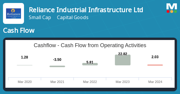 Reliance Industrial Infrastructure Ltd Cash Flow Statement ...
