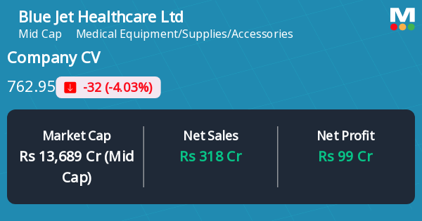 Blue Jet Healthcare Ltd Company Profile: Board of Directors, Capital ...