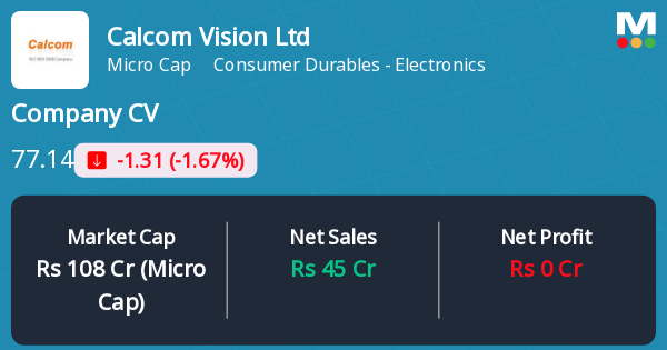Calcom Vision Ltd Company Profile: Board of Directors, Capital ...
