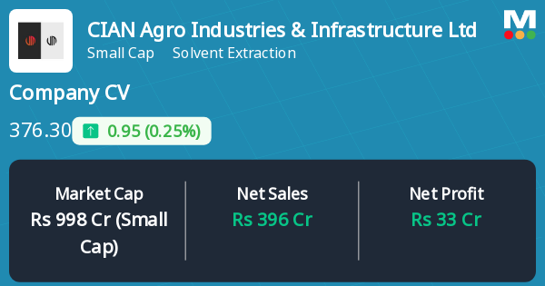 CIAN Agro Industries & Infrastructure Ltd Company Profile: Board of ...