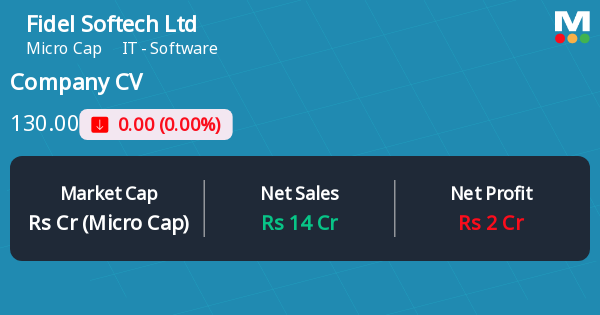 Fidel Softech Ltd Company Profile: Board of Directors, Capital Structure, Raw Materials & More