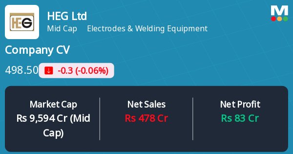 HEG Ltd Company Profile: Board of Directors, Capital Structure, Raw ...