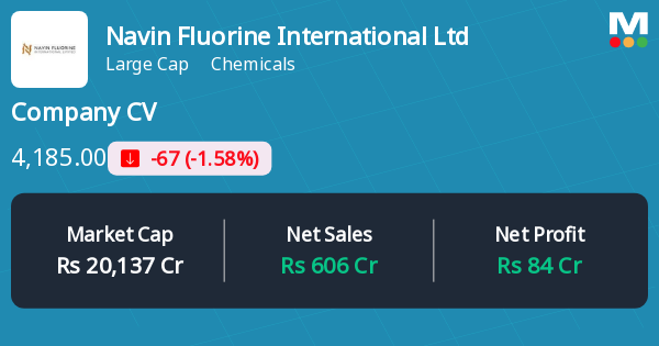 Navin Fluorine International Ltd Company Profile: Board of Directors, Capital Structure, Raw ...