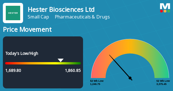 Hester Biosciences Ltd (HESTERBIO) Stock Price Analysis | 52-Week High ...