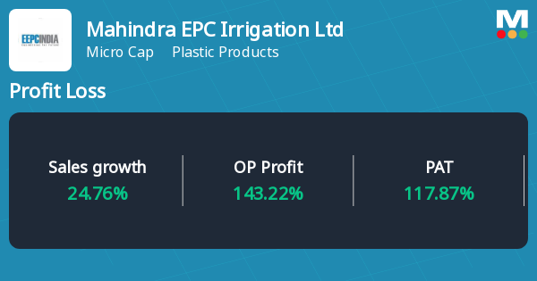 Mahindra EPC Irrigation Ltd Profit & Loss Statement: Consolidated ...