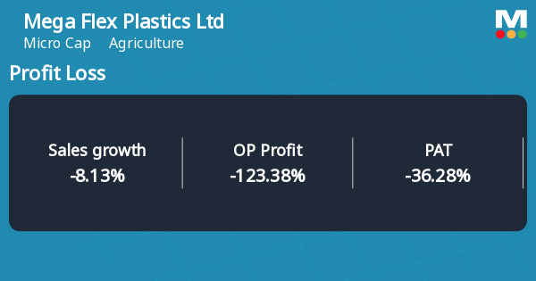 Mega Flex Plastics Ltd Profit & Loss Statement: Consolidated Financial ...