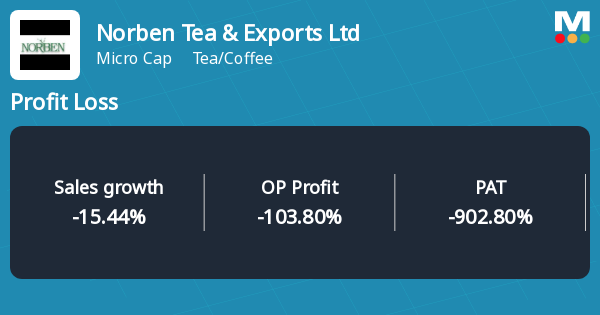 Norben Tea & Exports Ltd Profit & Loss Statement: Consolidated ...