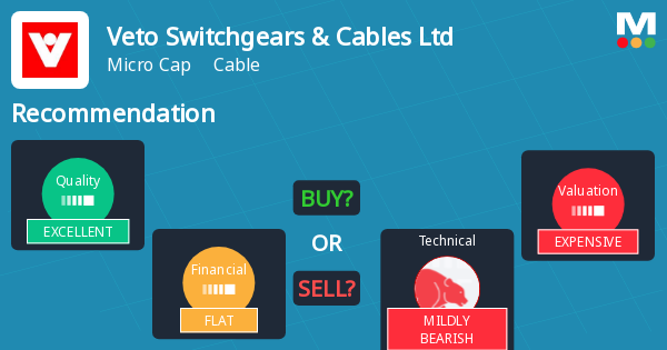 Veto Switchgears & Cables Ltd (VETO) Stock Recommendation | Score ...
