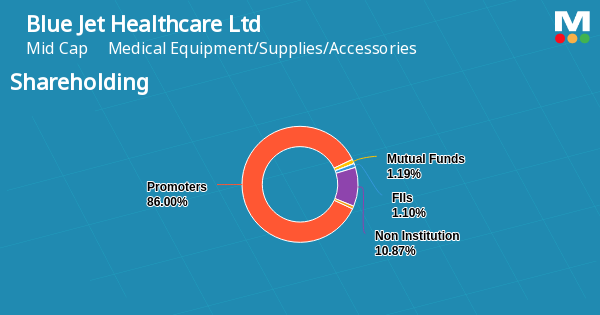 Blue Jet Healthcare Ltd Shareholding Pattern: Promoters, FIIs, DIIs ...
