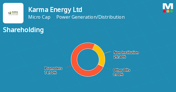 Karma Energy Ltd Shareholding Pattern: Promoters, FIIs, DIIs & Public ...