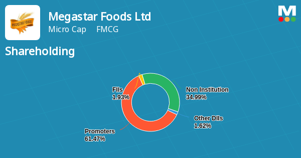 Megastar Foods Ltd Shareholding Pattern: Promoters, FIIs, DIIs & Public ...