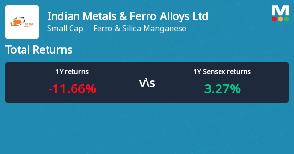 Indian Metals & Ferro Alloys Ltd (IMFA) Total Returns | Historical ...