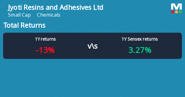 Jyoti Resins and Adhesives Ltd () Total Returns | Historical ...